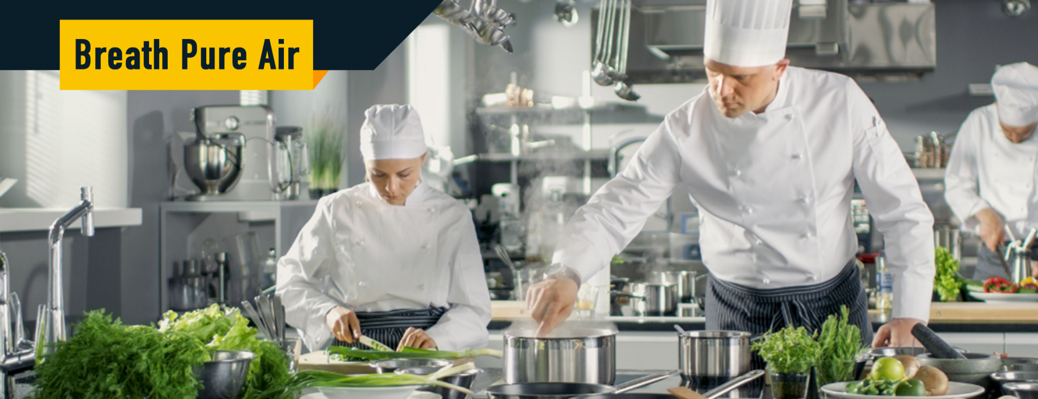 Application-Breath Pure Air – Siam Pollutek